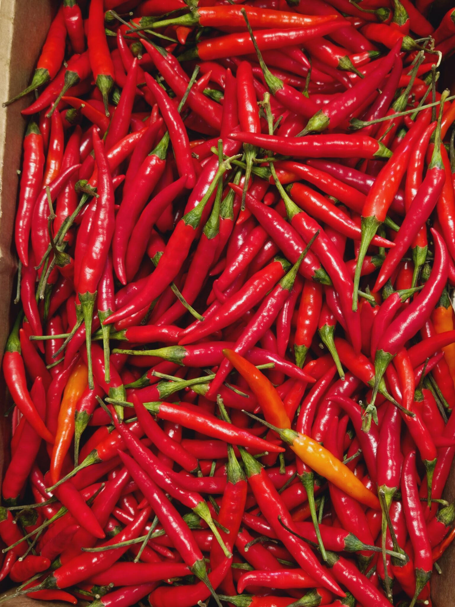 Fresh Red chilies 1kg พริกแดงสด - Yao Thai Supermarket